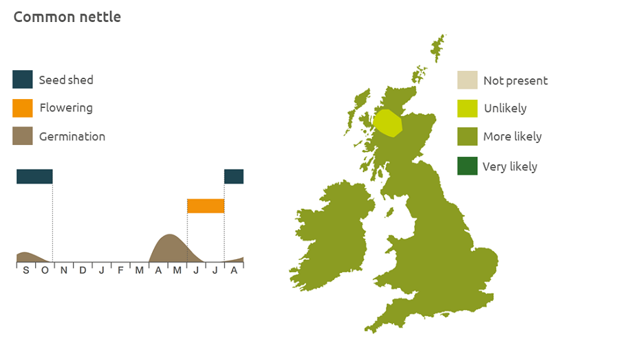 Distribution and biology of common nettle in the UK | AHDB