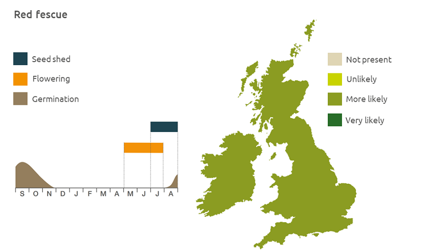 Distribution and biology of red fescue in the UK | AHDB