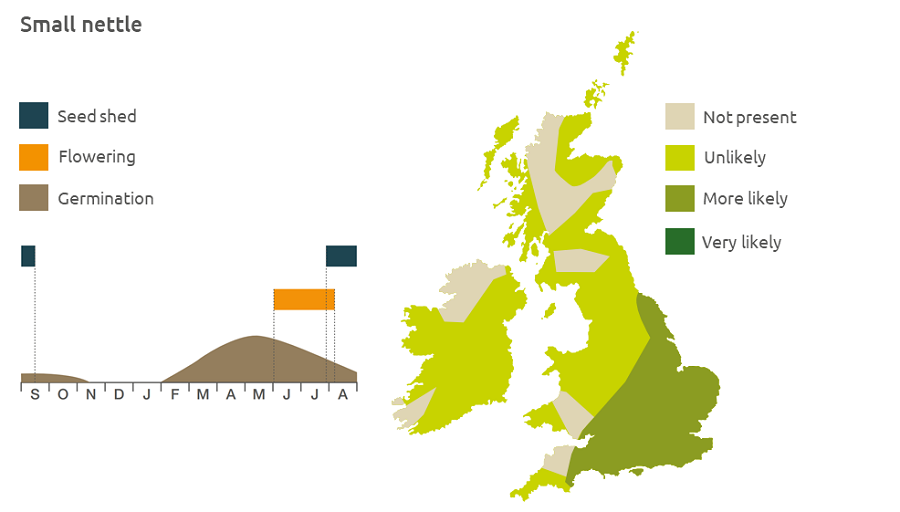 Distribution and biology of small nettle in the UK | AHDB
