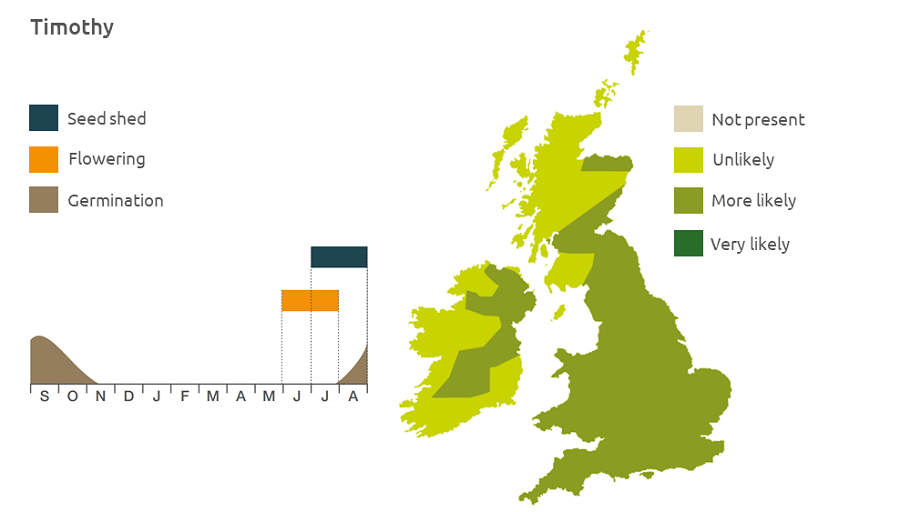 Distribution and biology of timothy grass weeds in the UK | AHDB