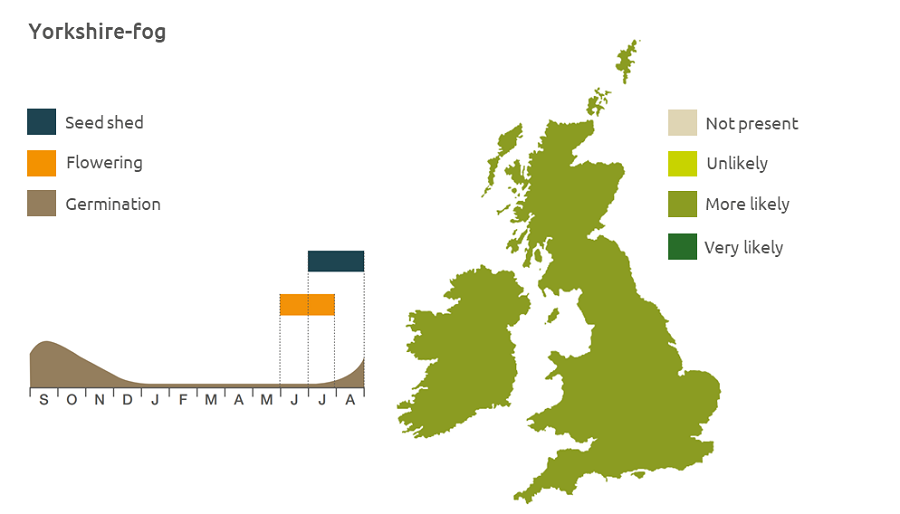 Distribution and biology of Yorkshire-fog weeds in the UK | AHDB
