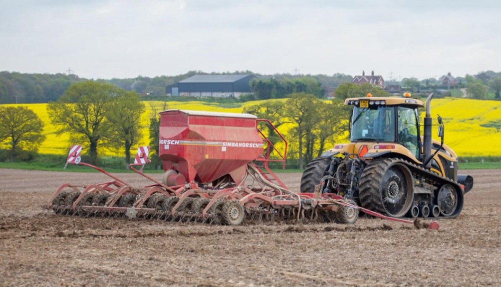 How drilling date affects arable weed populations | AHDB