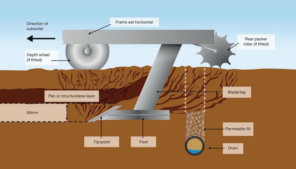 Field drainage: The importance of soil health | AHDB
