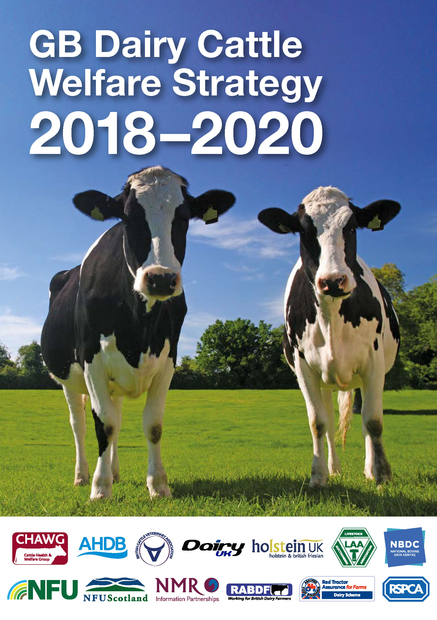 Assessment of the Welfare of Dairy Cows in Britain | AHDB