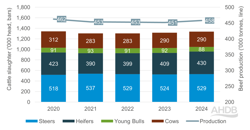Beef market outlook | AHDB