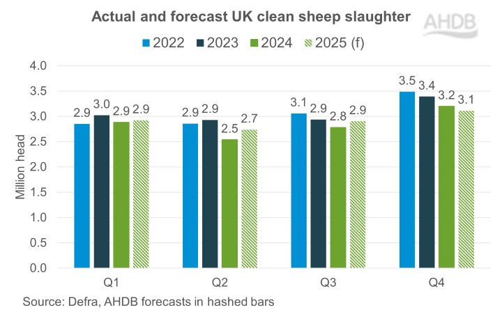 Lamb market outlook | AHDB