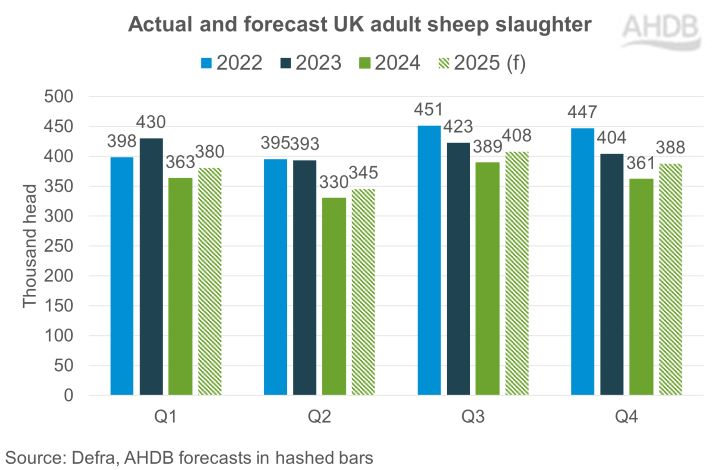 Lamb market outlook | AHDB