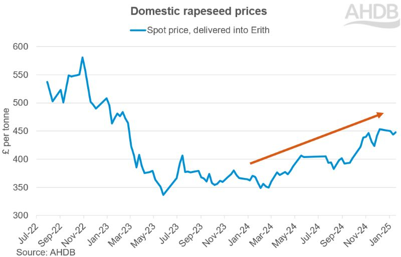 Oilseeds market outlook | AHDB