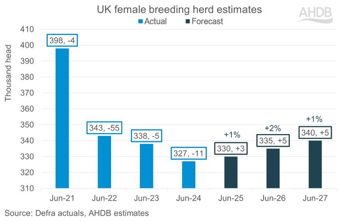 Pork market outlook | AHDB