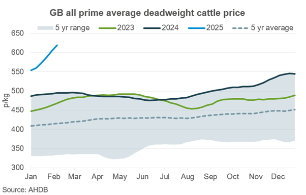 Weekly cattle and sheep market wrap – 13 February 2025 | AHDB
