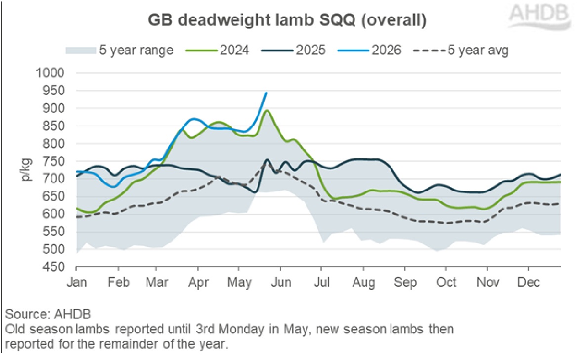 Weekly cattle and sheep market wrap – 29 May 2026 | AHDB