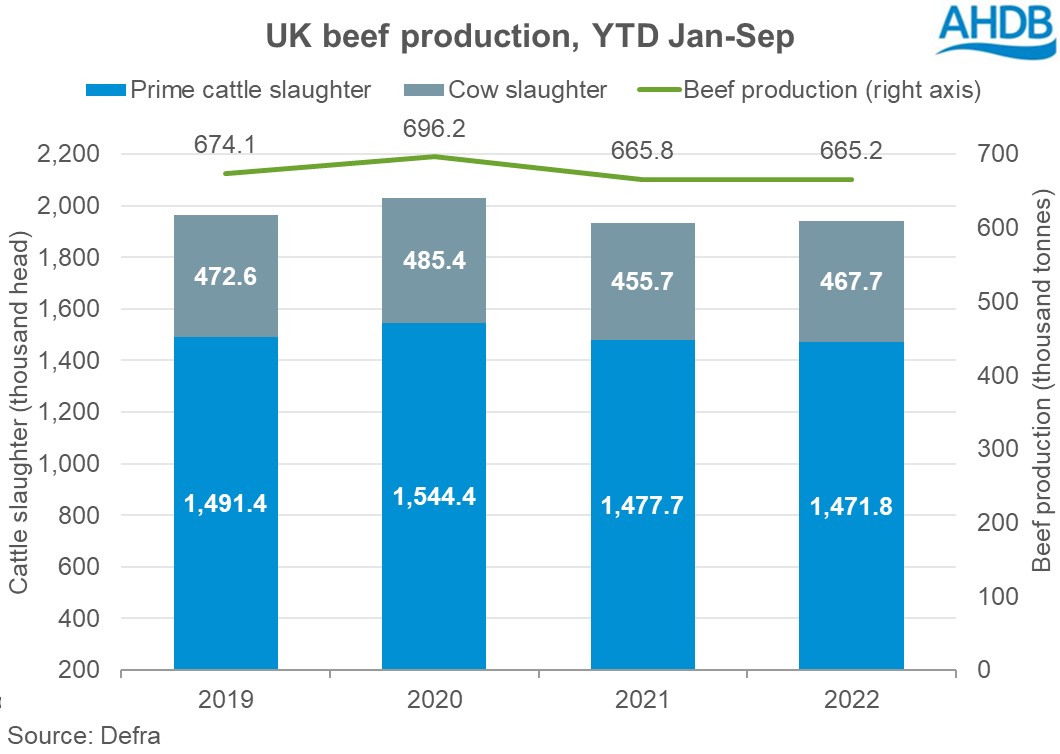 Beef production eases in September | AHDB