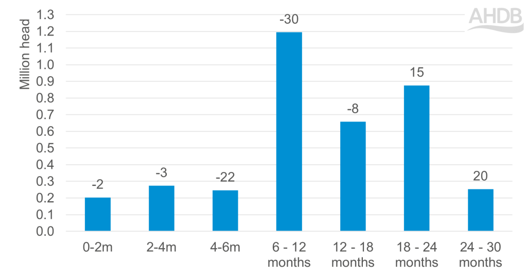 Beef market update: BCMS data continues to point to longer term supply ...