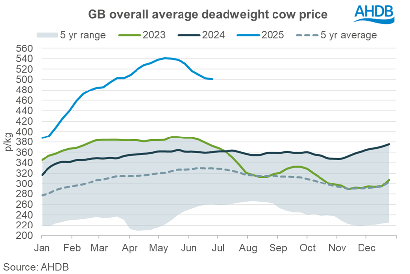 National cow supply down, what are the drivers? - Beef market update | AHDB