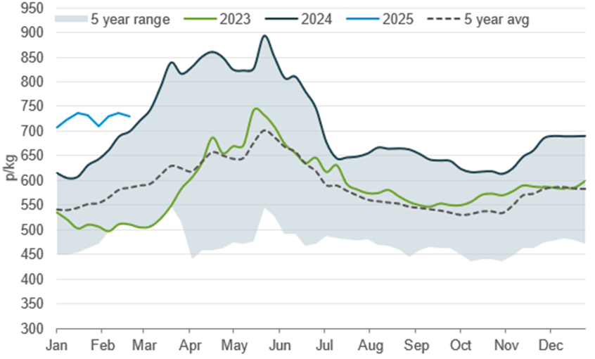 Weekly cattle & sheep market wrap – 27 February 2025 | AHDB