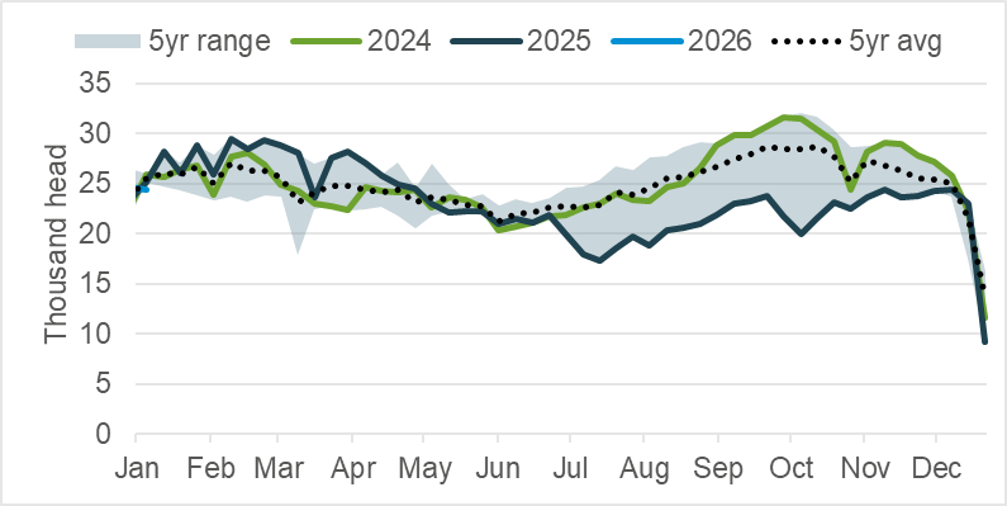 Irish beef market update and outlook for 2026 | AHDB