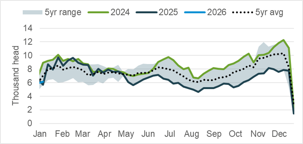Irish beef market update and outlook for 2026 | AHDB
