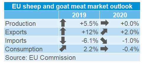 EU sheep meat production forecast to remain stable in 2020 | AHDB