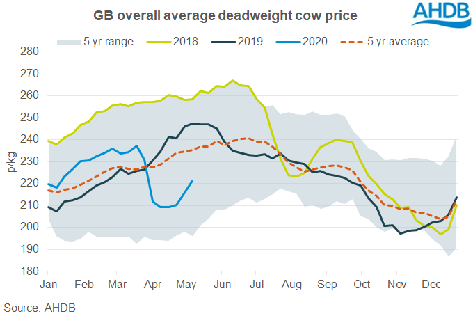 Cow prices rise, with a mixed movements for prime prices | AHDB