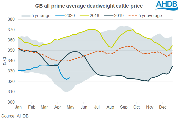 Cattle prices rise alongside throughputs | AHDB