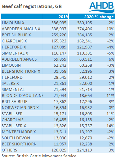 Beef registrations marginally up in 2020 | AHDB