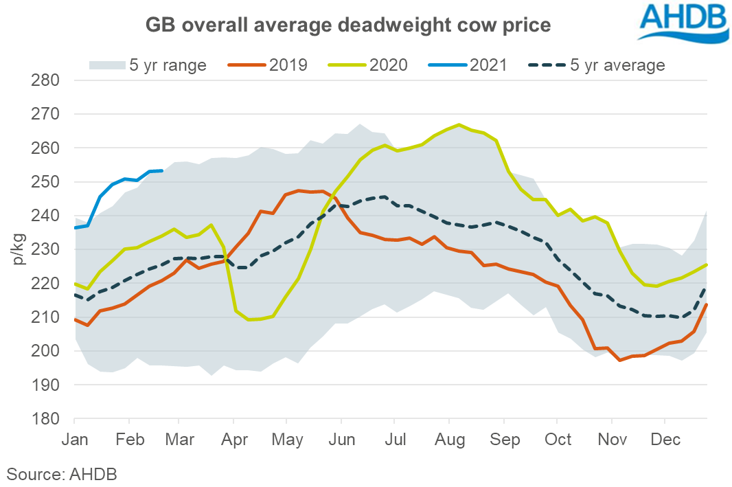Cow prices show typical seasonal uplift, prime prices lose ground | AHDB