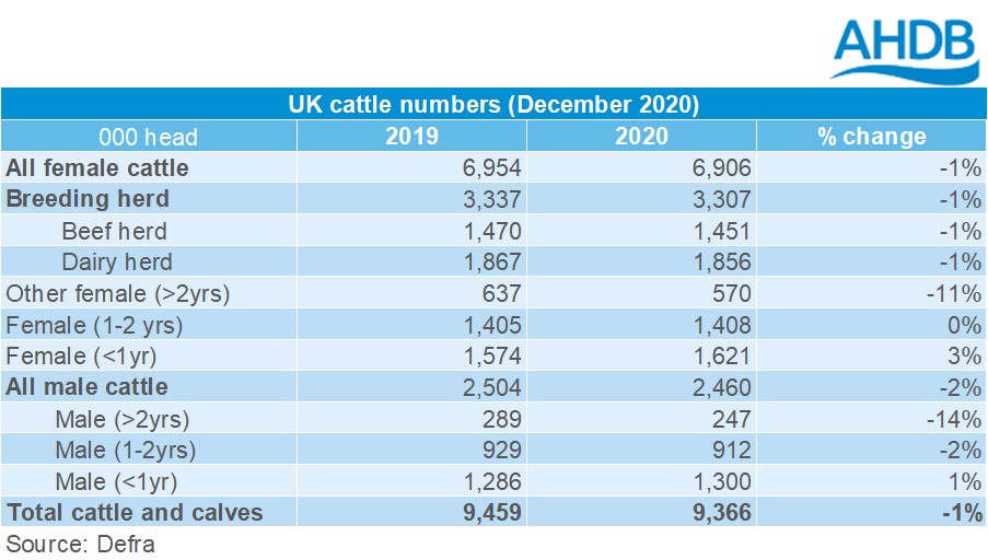 UK cattle population drops back in December | AHDB