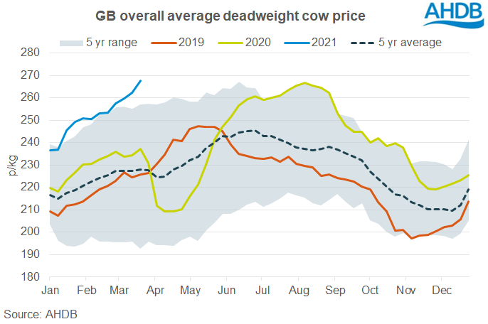 Cull cow prices continue to strengthen amid tight supplies | AHDB