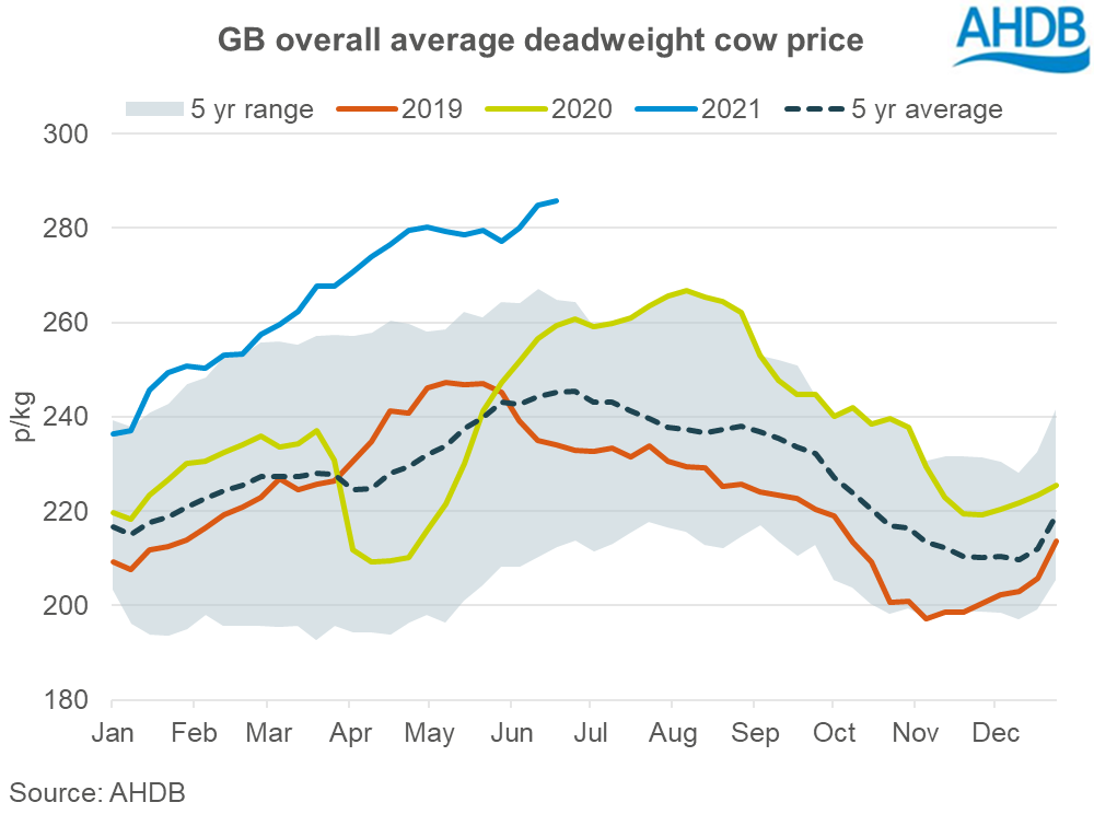 Deadweight prime cattle prices on the rise once again | AHDB