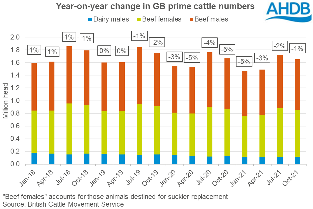 GB cattle population stabilised by youngstock numbers | AHDB