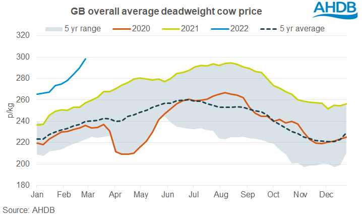 Cattle prices rise on good processor demand | AHDB