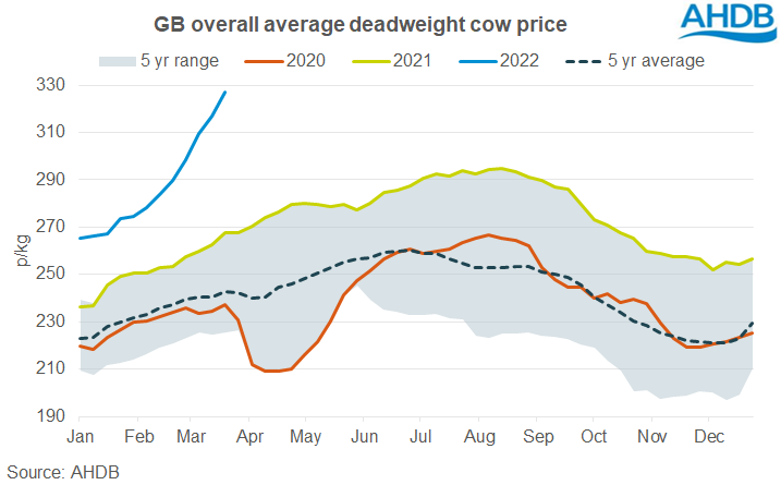 Cattle prices continue to rally strongly | AHDB