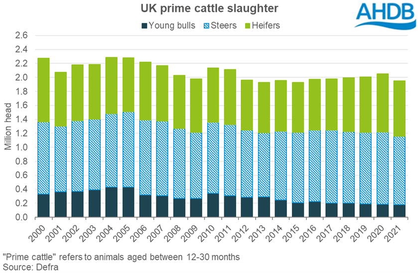 beef slaughter process uk