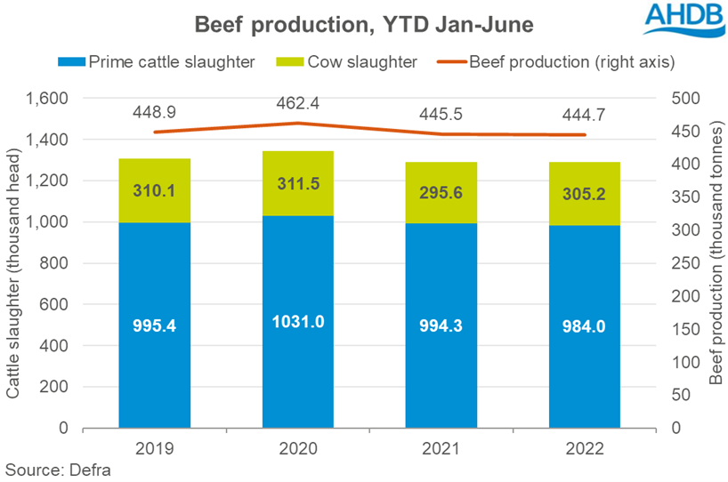 Tighter numbers constrain beef production in June | AHDB
