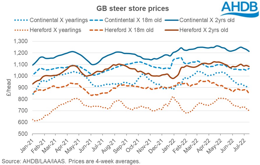 Store cattle and sheep prices trending high | AHDB