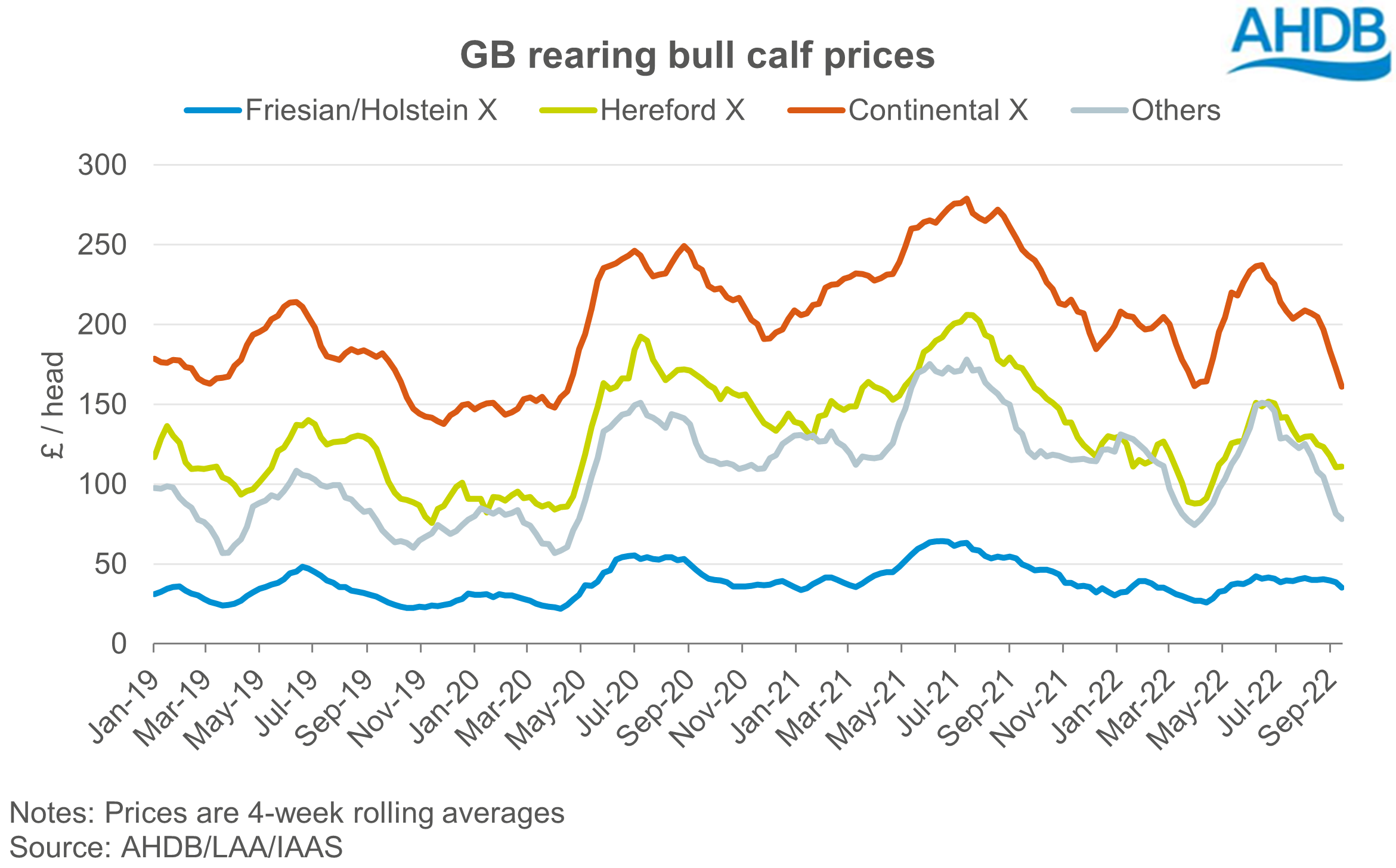 Store prices ease for both sheep and cattle | AHDB