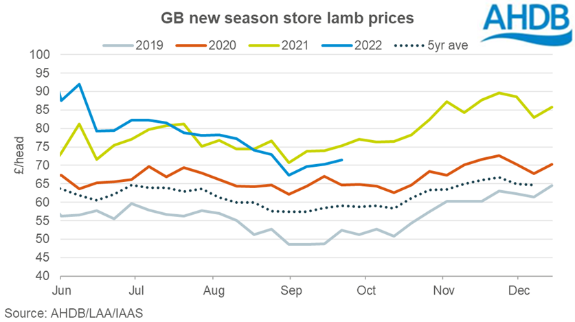 Store prices ease for both sheep and cattle | AHDB