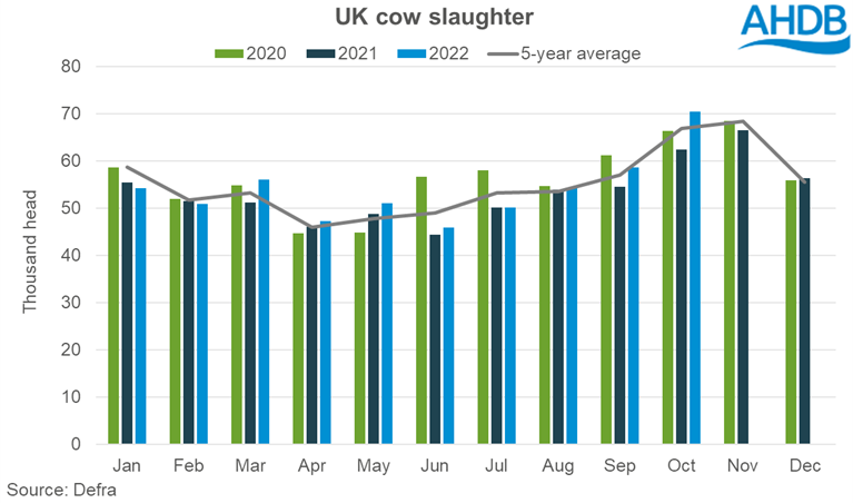 UK beef production increases in October | AHDB