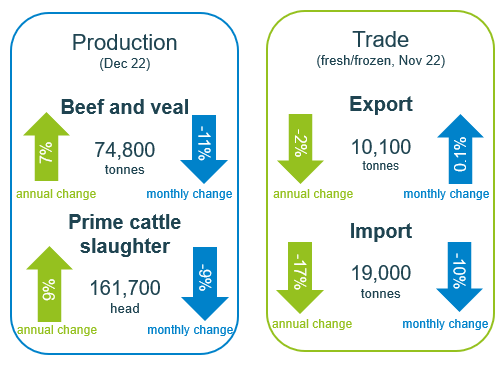 Beef market monthly update - December 2022 | AHDB