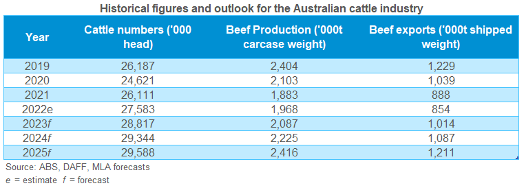 Australian cattle and sheep outlooks forecast greater production in ...