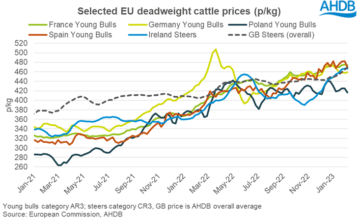 Where next for GB cattle prices? | AHDB