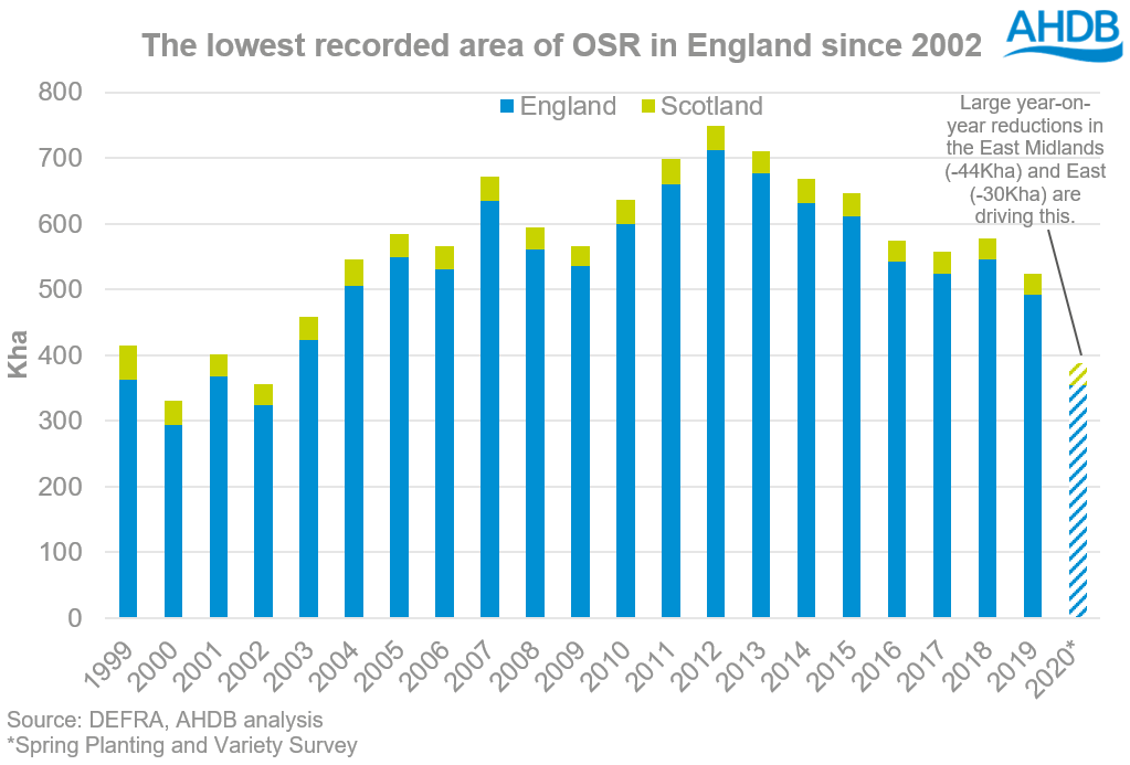 Are we going to see further reductions to OSR? Grain Market Daily | AHDB