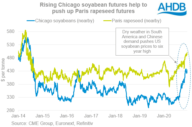 What does the world market have in store for rapeseed prices? Analyst's ...
