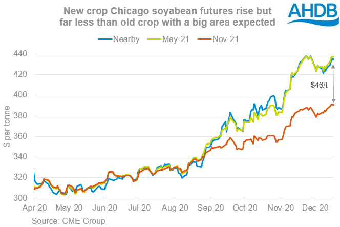 What does the world market have in store for rapeseed prices? Analyst's ...
