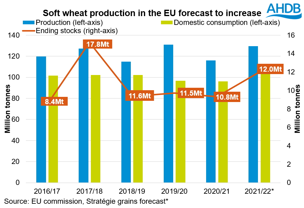 Weather conditions fare well in Europe: grain market daily | AHDB