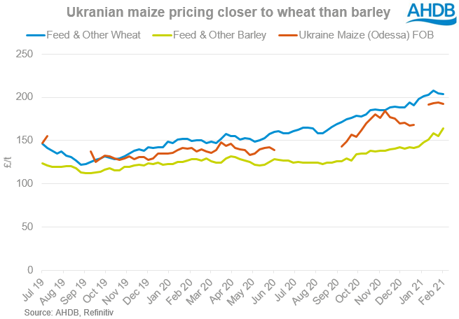 UK feed barley domestic demand over the next few months: Grain Market ...