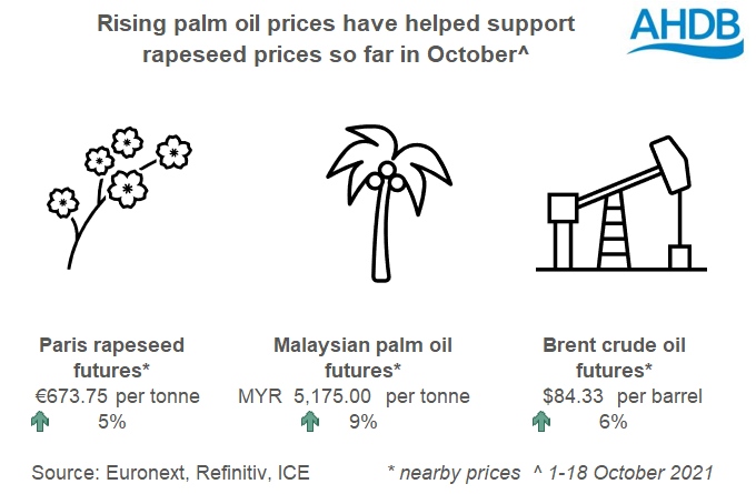 Rapeseed prices lifted by palm oil, but 2022 recovery threat: Grain ...
