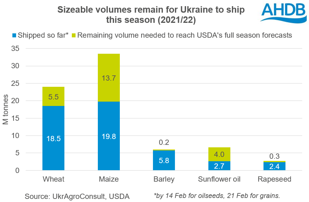 Export issues ahead as Russia invades Ukraine: Analyst’s insight | AHDB