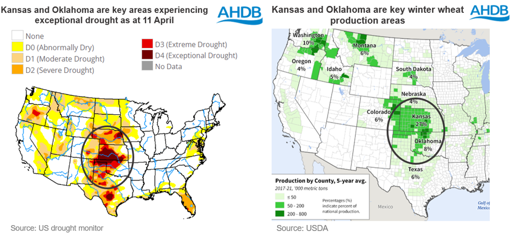 US winter wheat crop struggles while spring plantings progress: Grain ...
