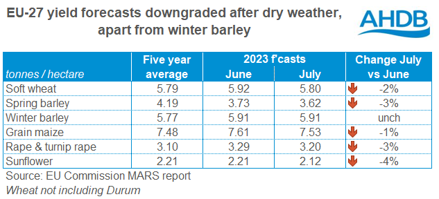 EU yields trimmed and quality in focus: Grain market daily | AHDB